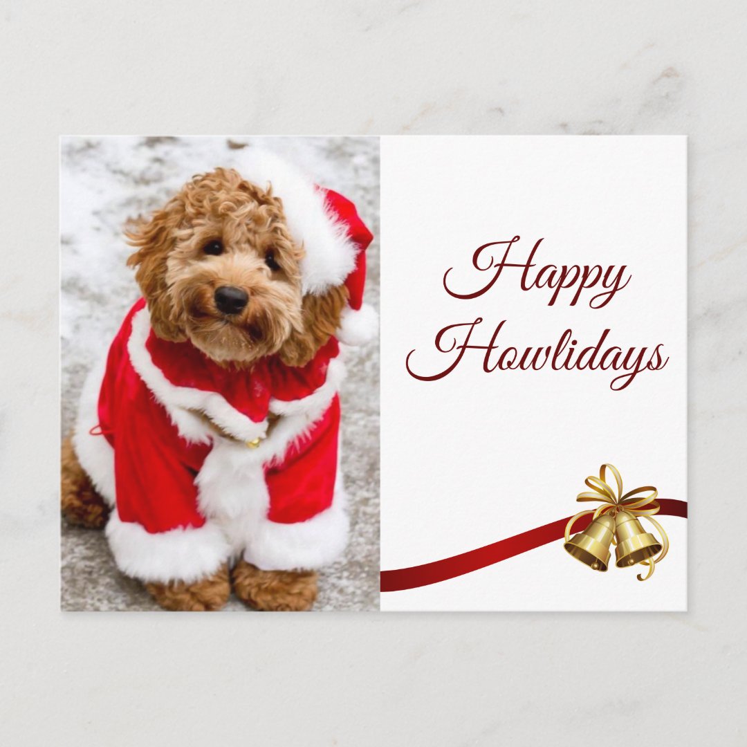 Christmas Seasons Greetings Cockapoo Friends Postcard | Zazzle