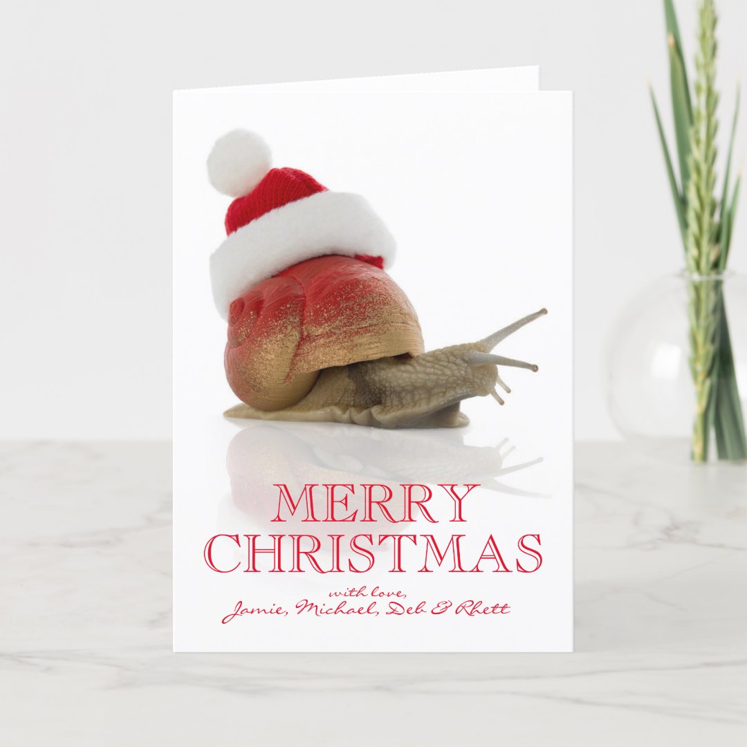 Christmas Snail Holiday Card | Zazzle