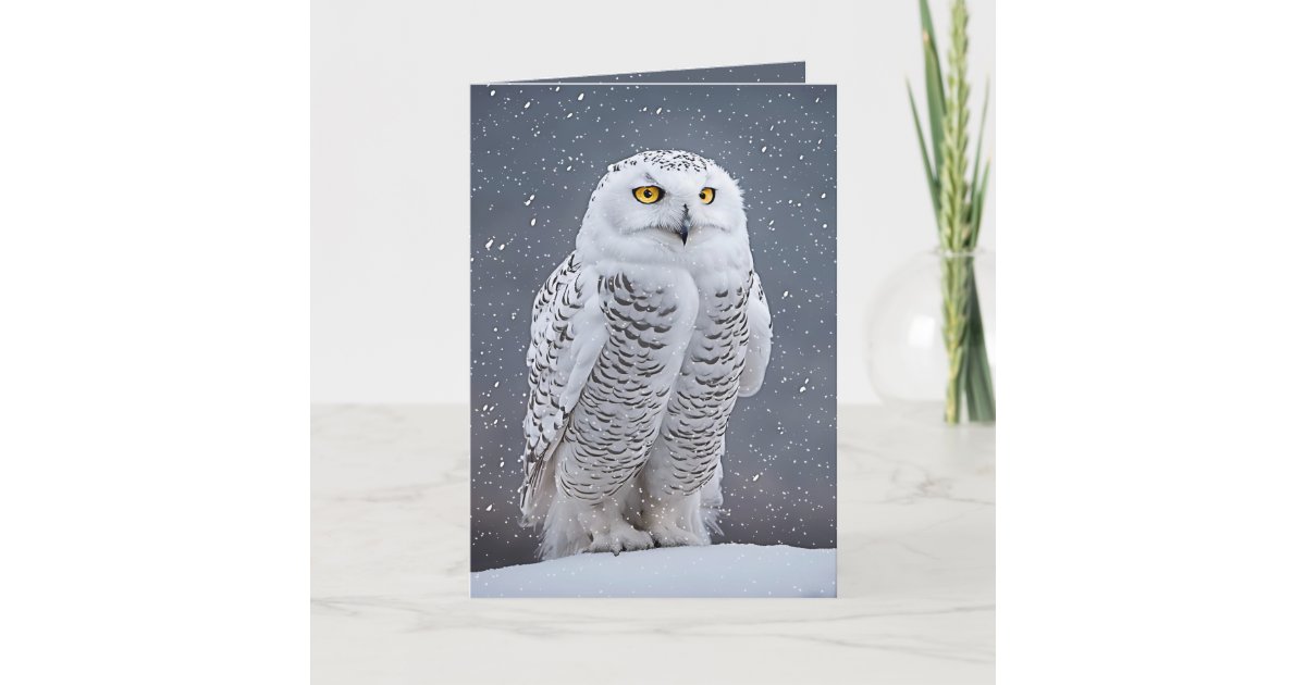 Christmas Snowy Owl Holiday Card | Zazzle