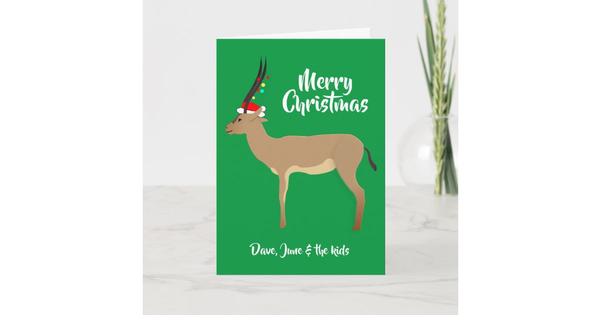 Christmas Springbok Holiday Card | Zazzle
