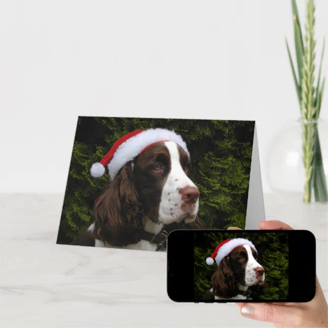 Christmas Springer Spaniel Christmas Card | Zazzle