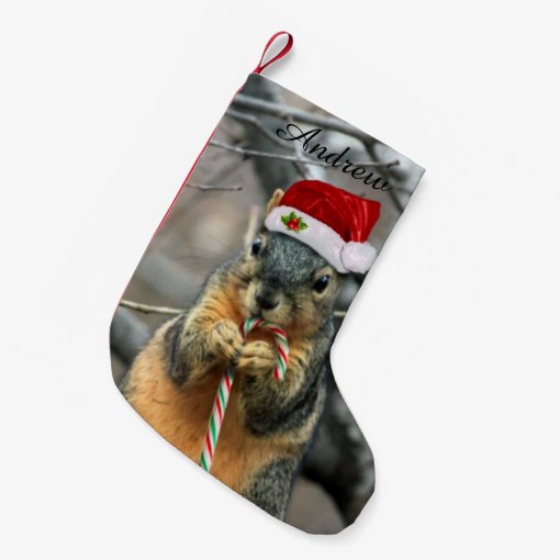 Christmas Squirrel Small Christmas Stocking | Zazzle