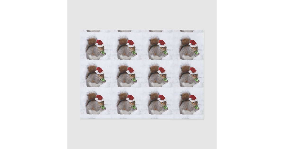 Christmas Squirrel tissue paper | Zazzle