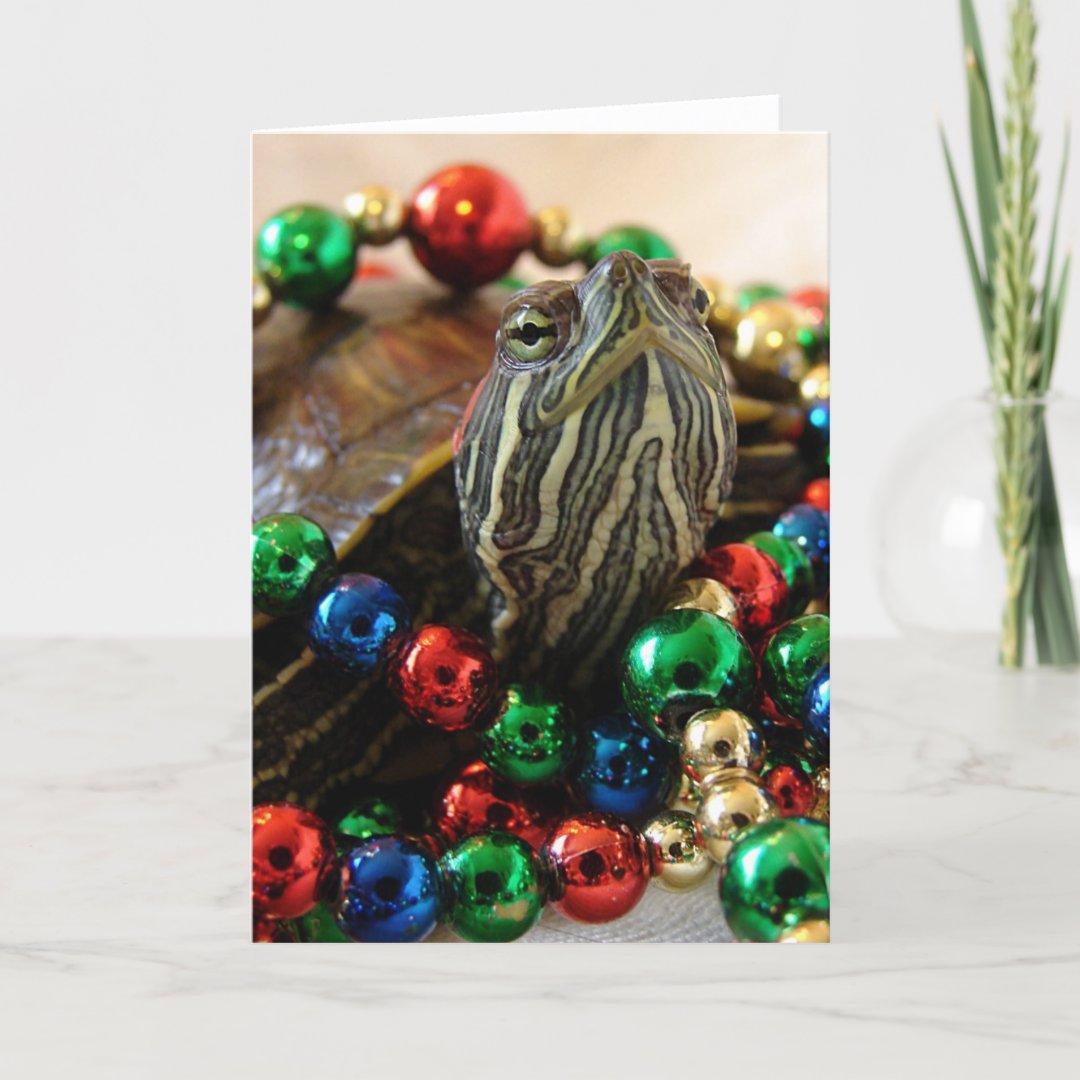 Christmas Turtle Holiday Card | Zazzle