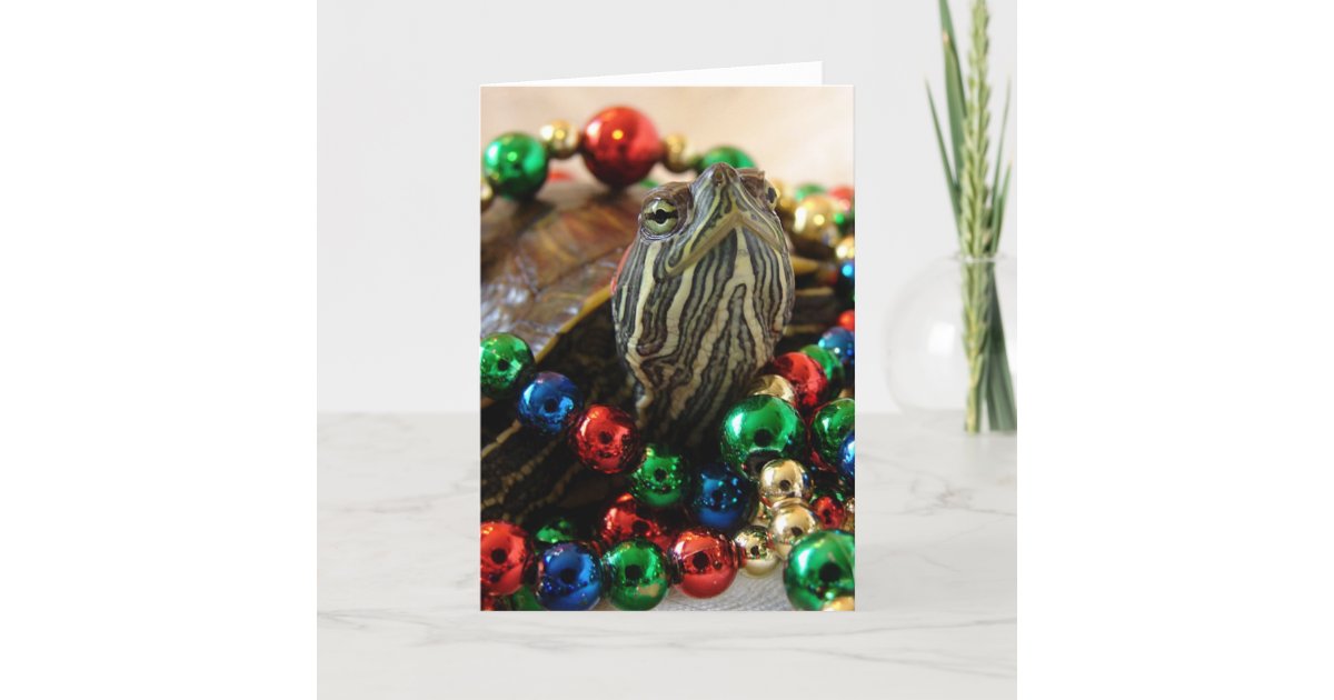 Christmas Turtle Holiday Card | Zazzle