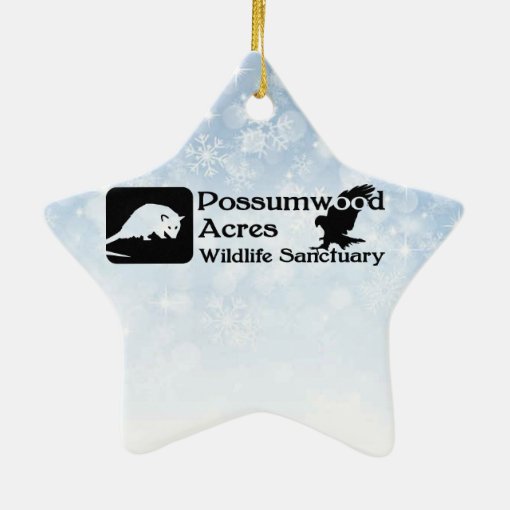 Christmas Vulture Star Ornament | Zazzle