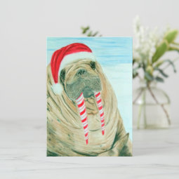 Christmas Walrus Holiday Card | Zazzle