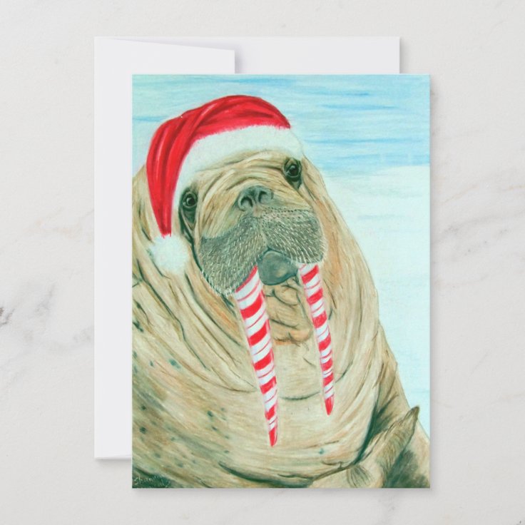 Christmas Walrus Holiday Card | Zazzle