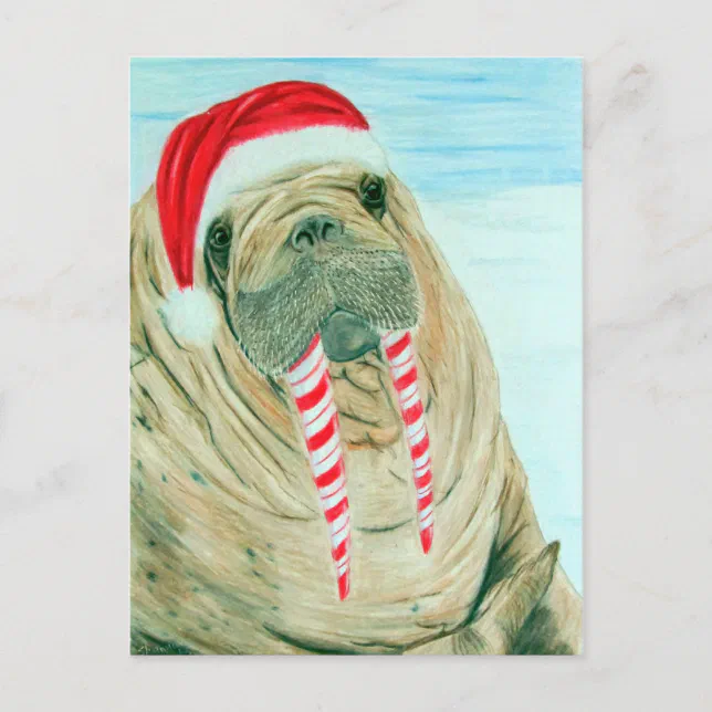 Christmas Walrus Holiday Postcard | Zazzle