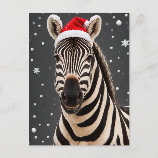 Christmas Zebra Postcard | Zazzle