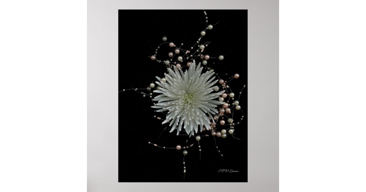 Chrysanthemum & Pearls Poster | Zazzle