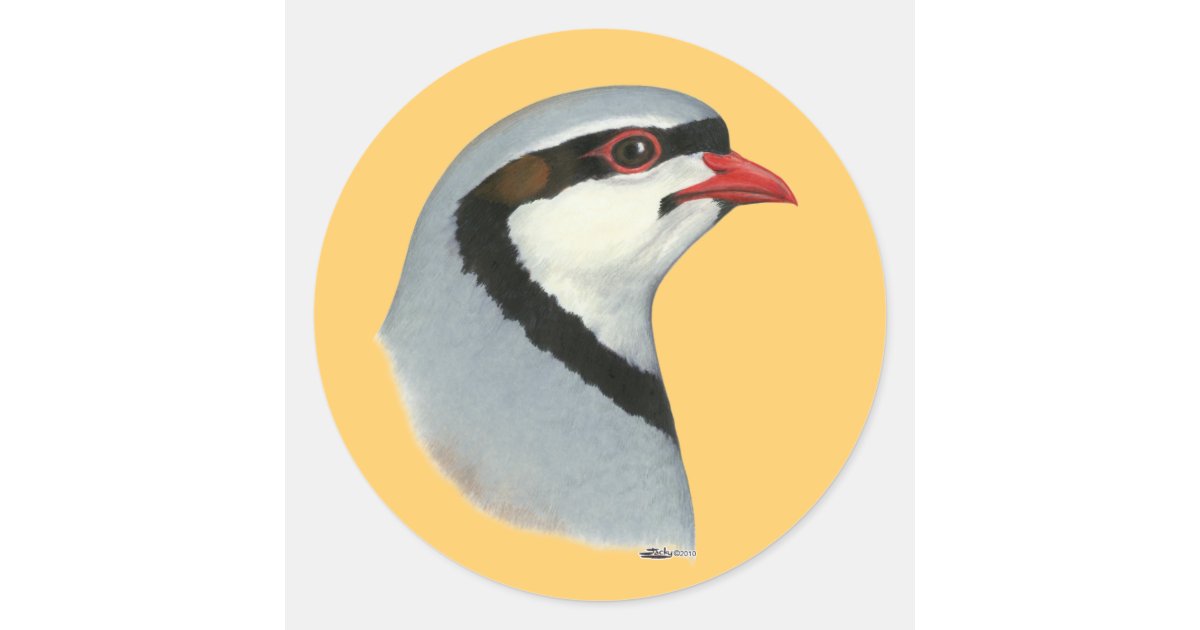Chukar: Partridge Head Classic Round Sticker | Zazzle