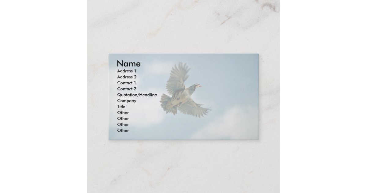 Chukar partridge in flight business card | Zazzle