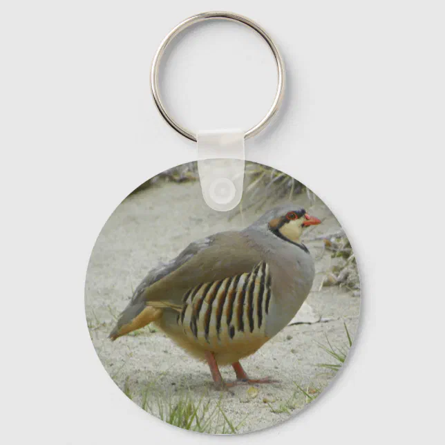 Chukar Partridge Keychain | Zazzle