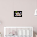 Chysis Violacea Poster | Zazzle
