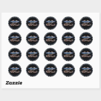 CIB Airborne Air Assault Classic Round Sticker | Zazzle
