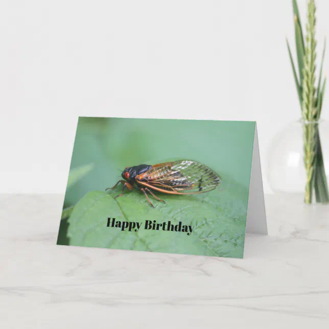 Cicada Photo Birthday Card | Zazzle