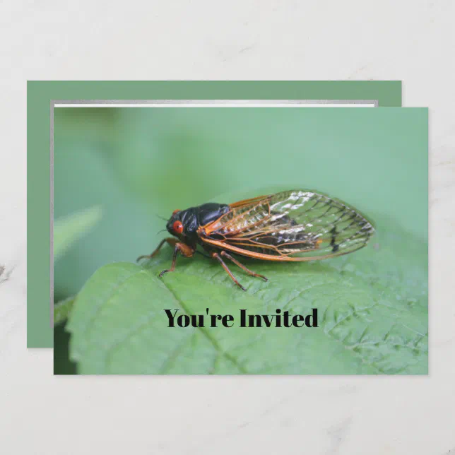 Cicada Photo Birthday Invitation | Zazzle