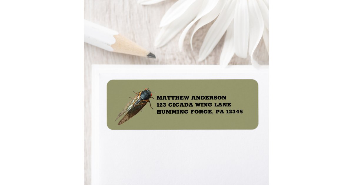 Cicada Photo Bug, Insect Return Address Label | Zazzle