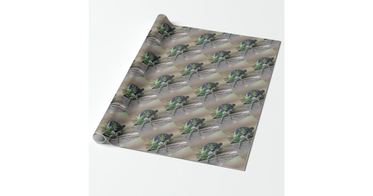 Cicada Wrapping Paper | Zazzle