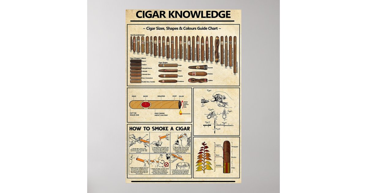 Cigar Knowledge Poster | Zazzle