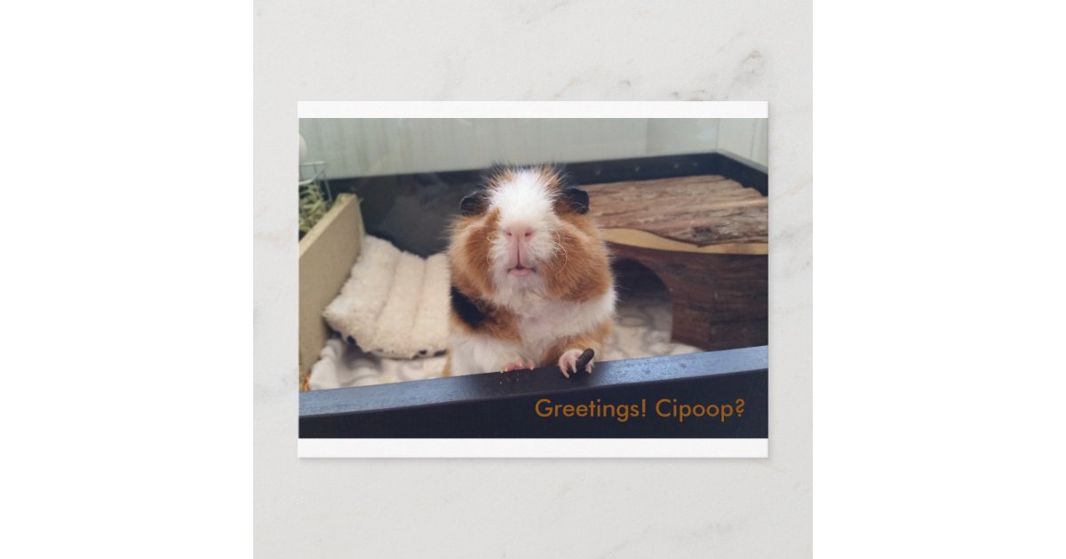 Cigar poop post card | Zazzle