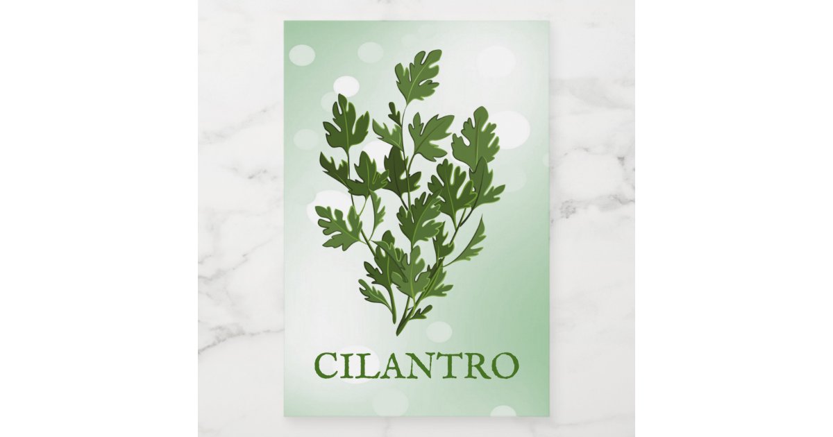 Cilantro Herbs Label | Zazzle