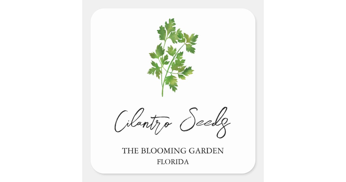 Cilantro Seeds label | Zazzle