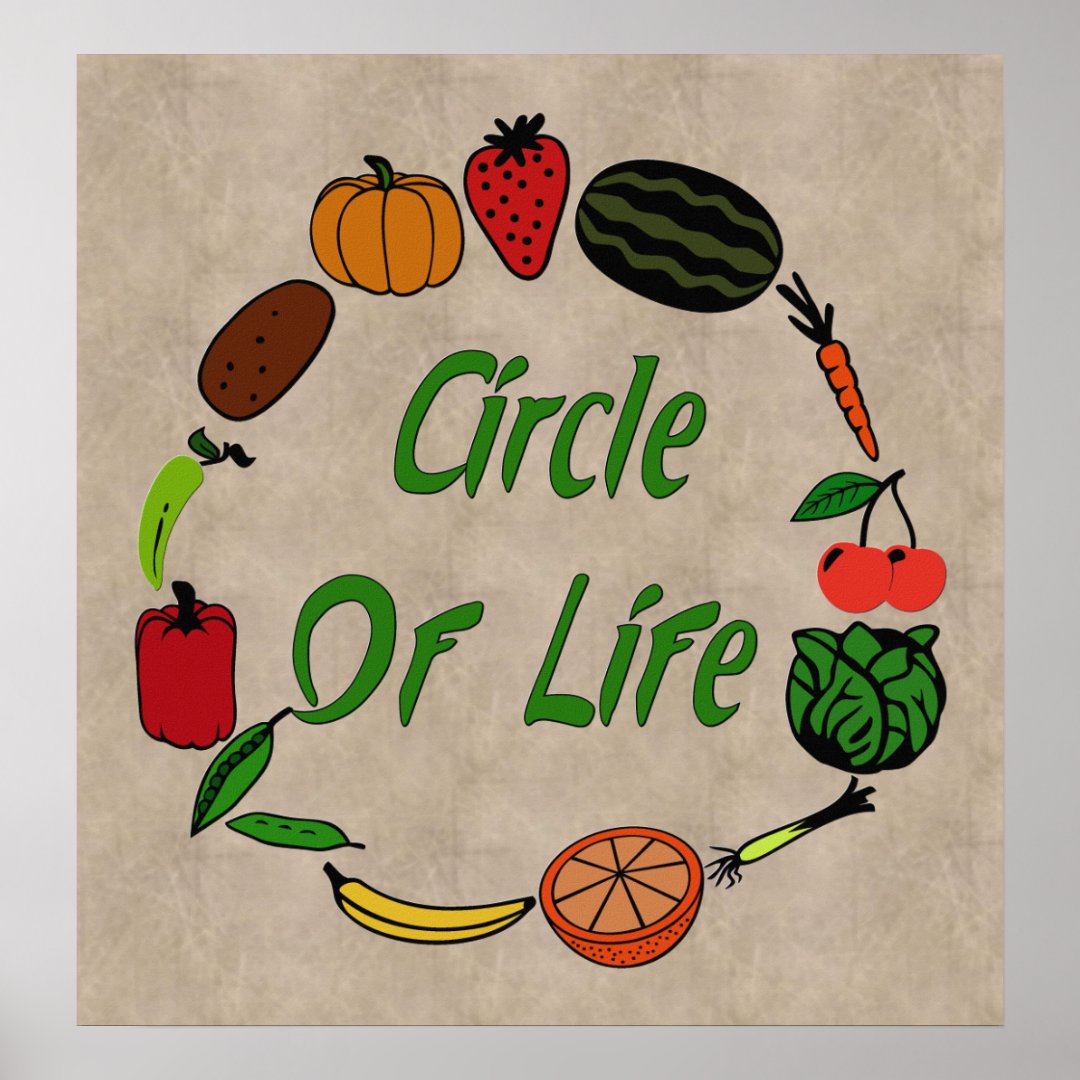 Circle Of Life Poster | Zazzle