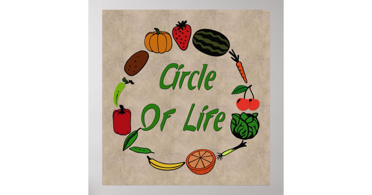 Circle Of Life Poster | Zazzle