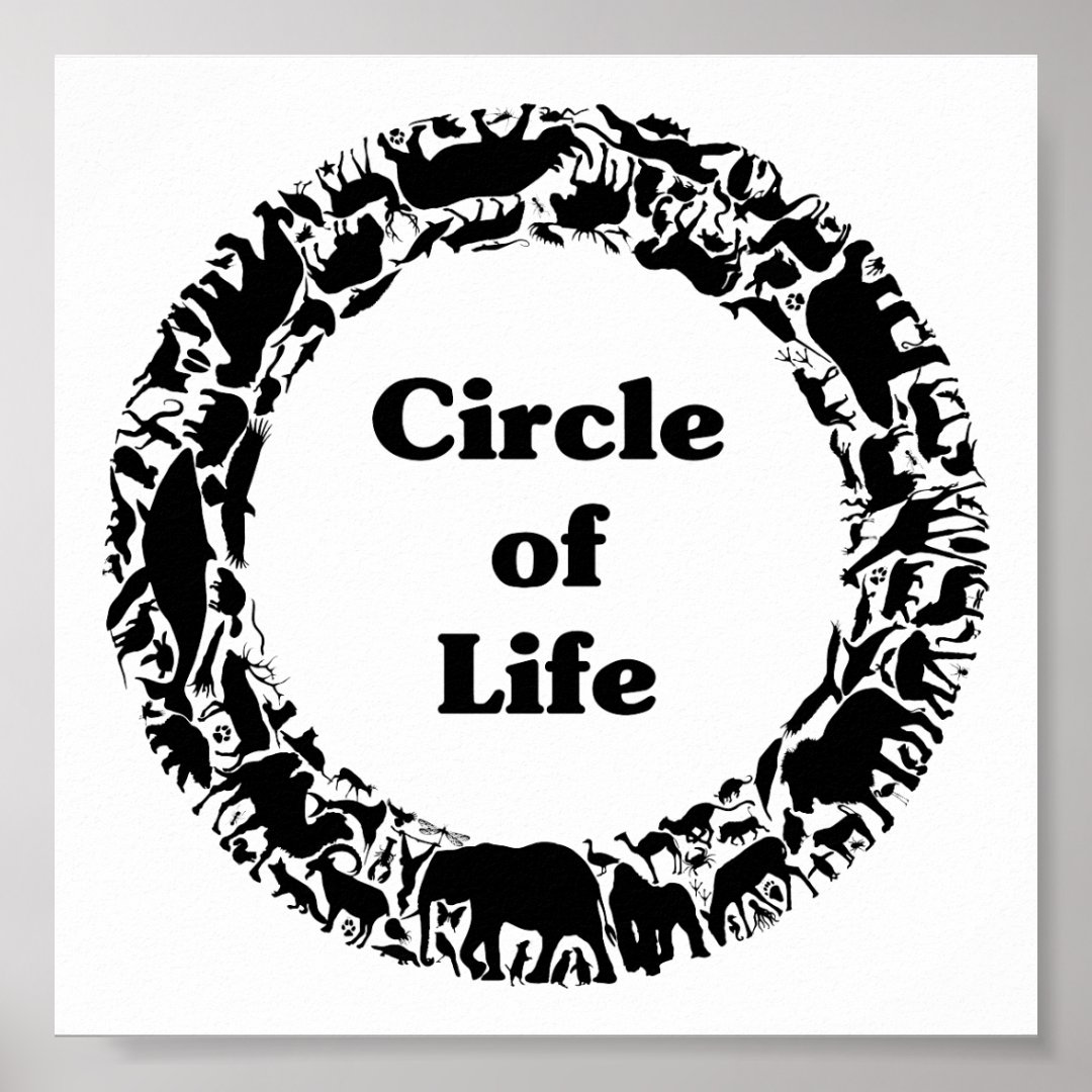 Circle of life poster | Zazzle