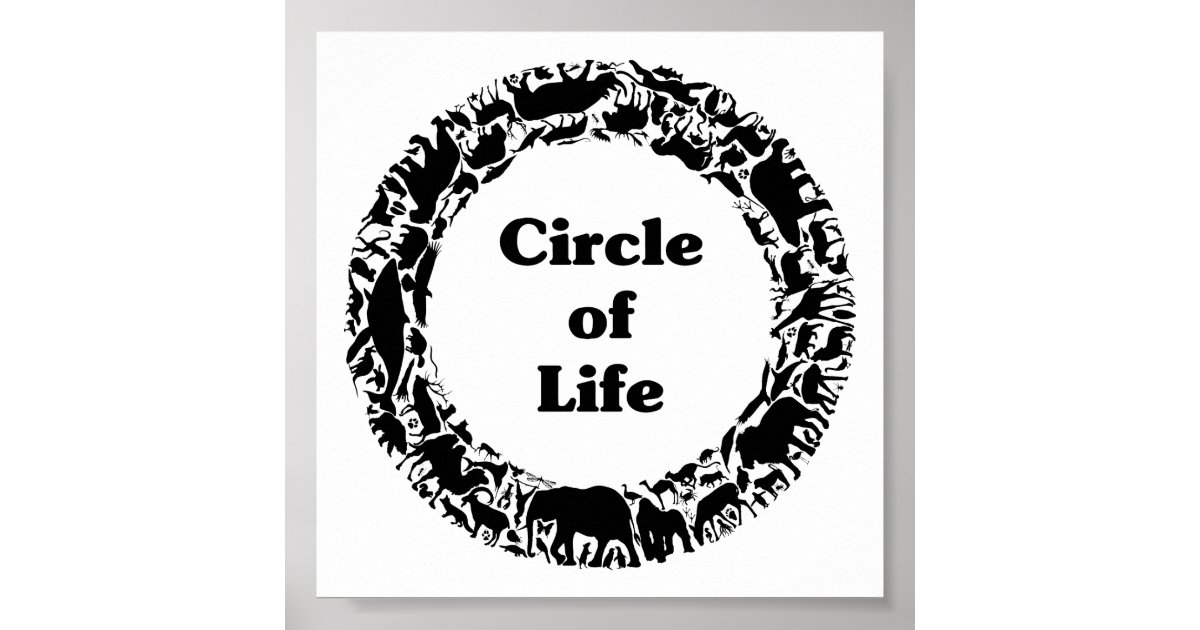 Circle of life poster | Zazzle
