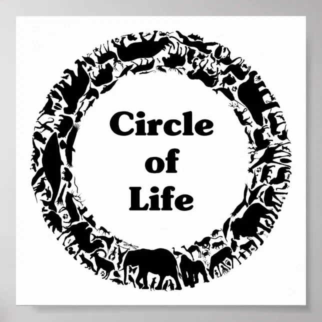 Circle of life poster | Zazzle