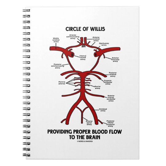 Circle Of Willis Providing Proper Blood Flow Brain Notebook | Zazzle.com