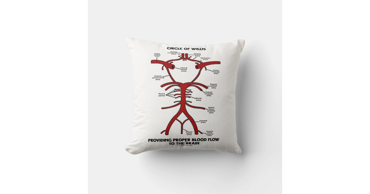 Circle Of Willis Providing Proper Blood Flow Brain Throw Pillow | Zazzle