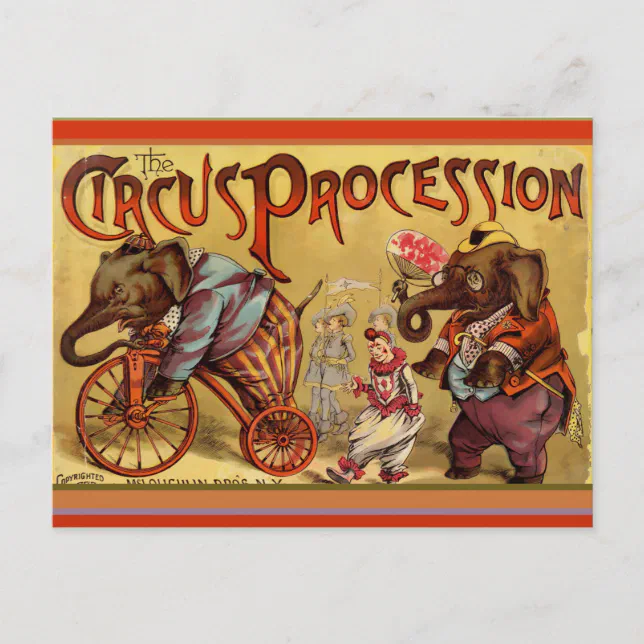 Circus Postcard | Zazzle