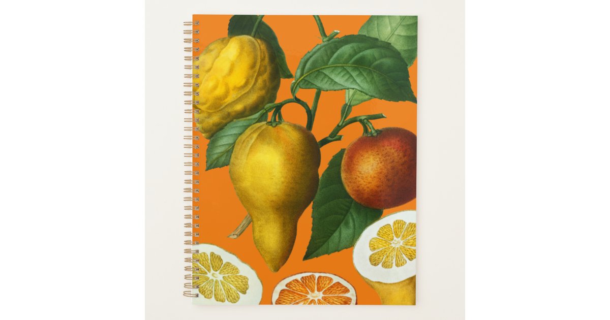 CITRUS FRUIT NOTEBOOK | Zazzle