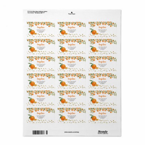 Citrus Orange Modern Address Label | Zazzle