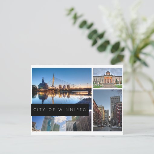 City of Winnipeg Postcard | Zazzle