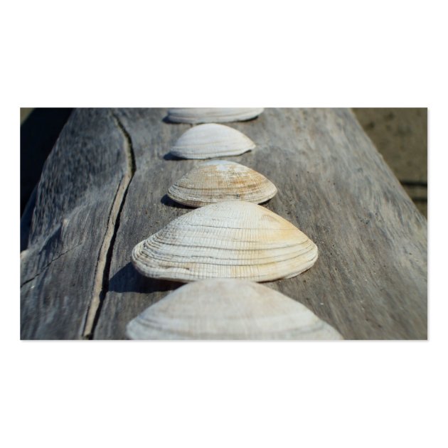Clam shells business cards