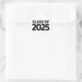 Class of 2025 classic round sticker | Zazzle