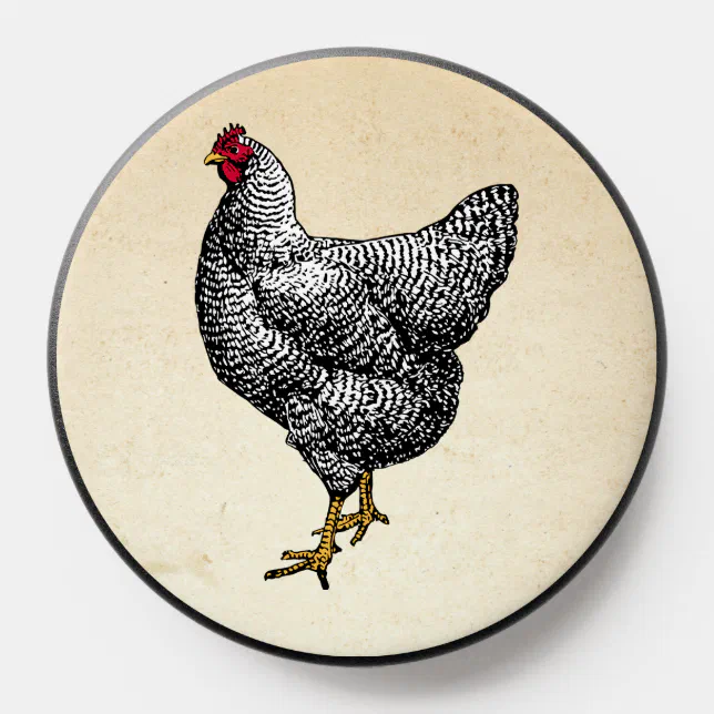 Classic Barred Plymouth Rock Chicken Hen PopSocket | Zazzle