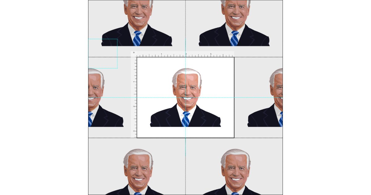 Classic Biden Fabric | Zazzle