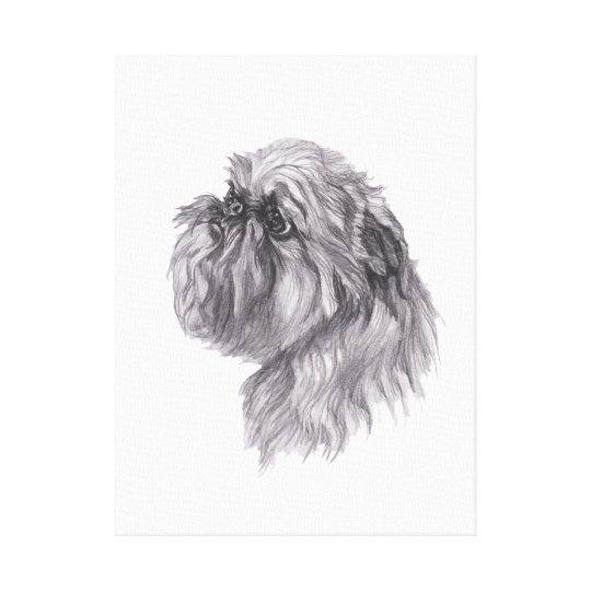 Dog Profile Drawing SketchBook Original: How To Draw Dogs – Monika
