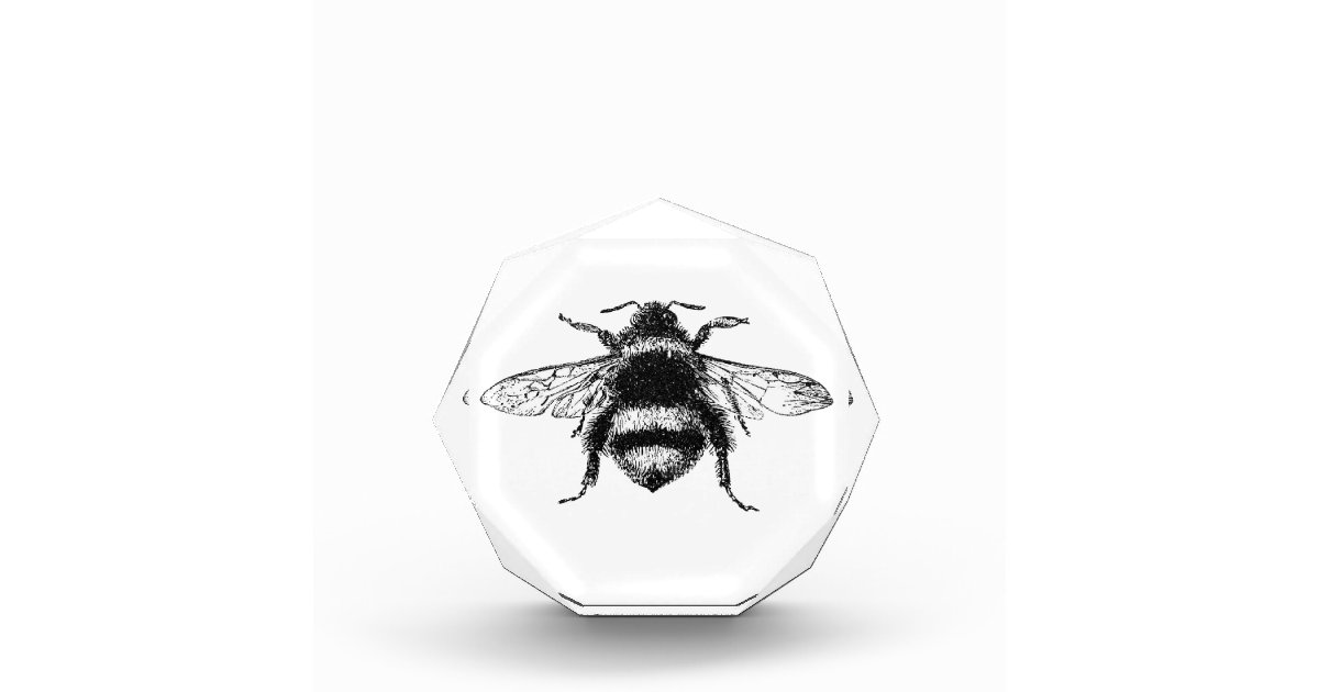 Classic Bumble Bee Award | Zazzle