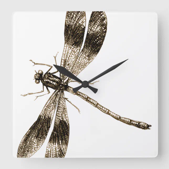 Classic Dragonfly clock | Zazzle