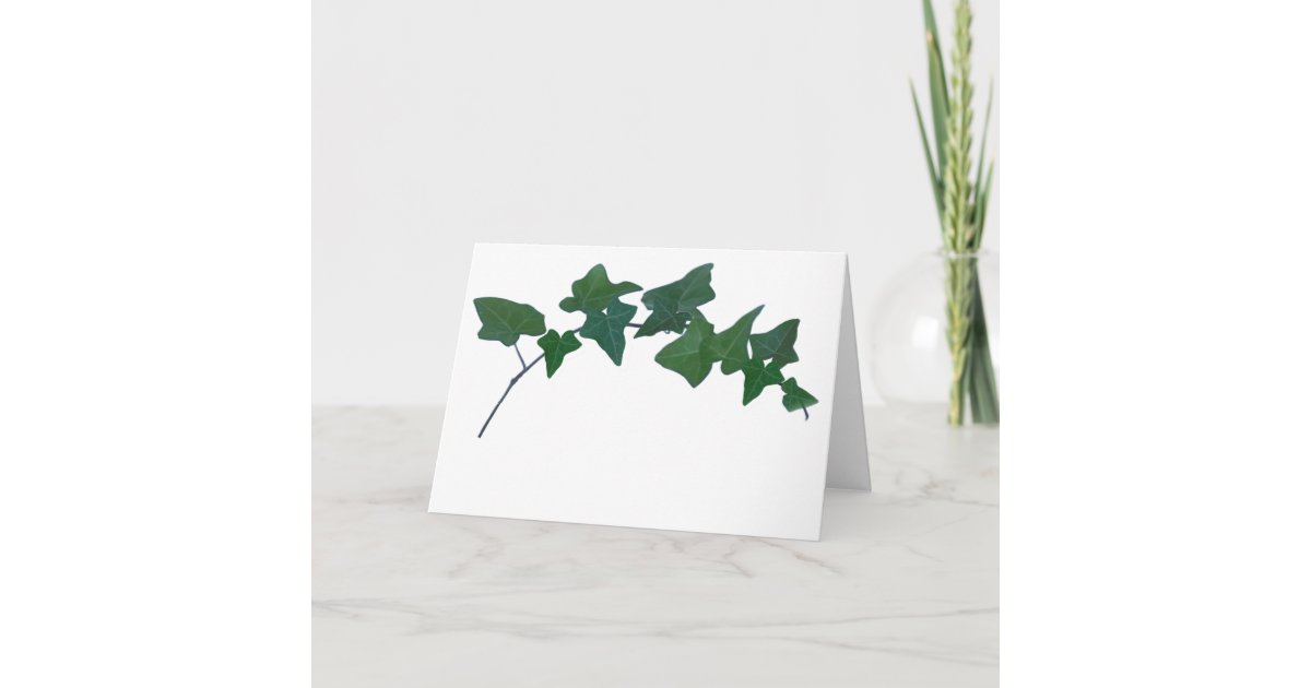 Classic Green English Ivy Card | Zazzle