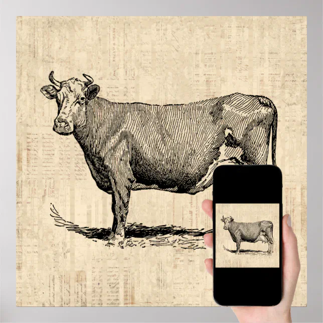 Classic Old Fashioned Cow Art Poster | Zazzle