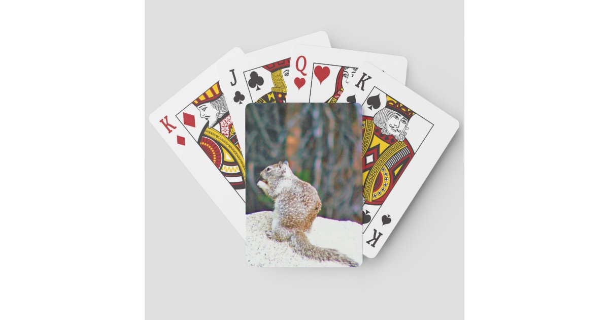 Classic Playing Cards of squirrel | Zazzle