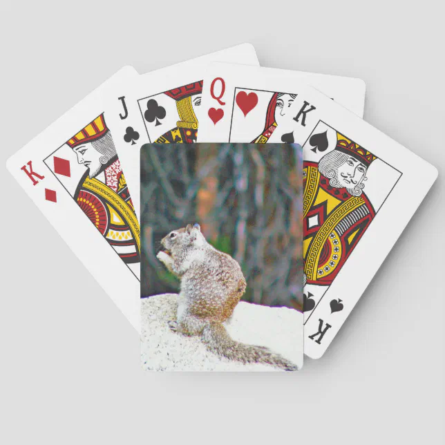 Classic Playing Cards of squirrel | Zazzle